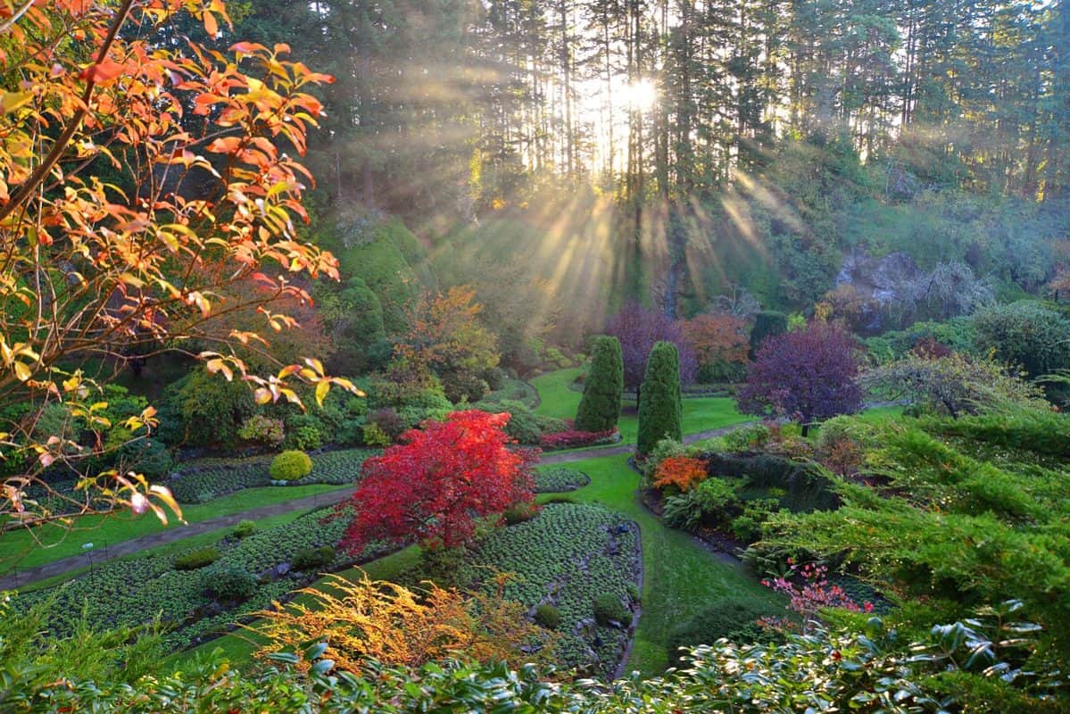 Find the best autumn colour in Victoria and Vancouver, BC gardens