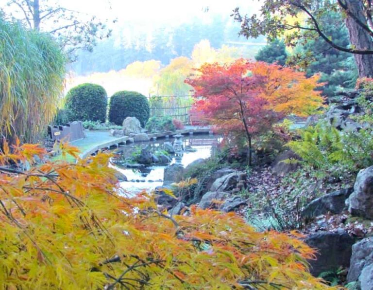 Find the best autumn colour in Victoria and Vancouver, BC gardens