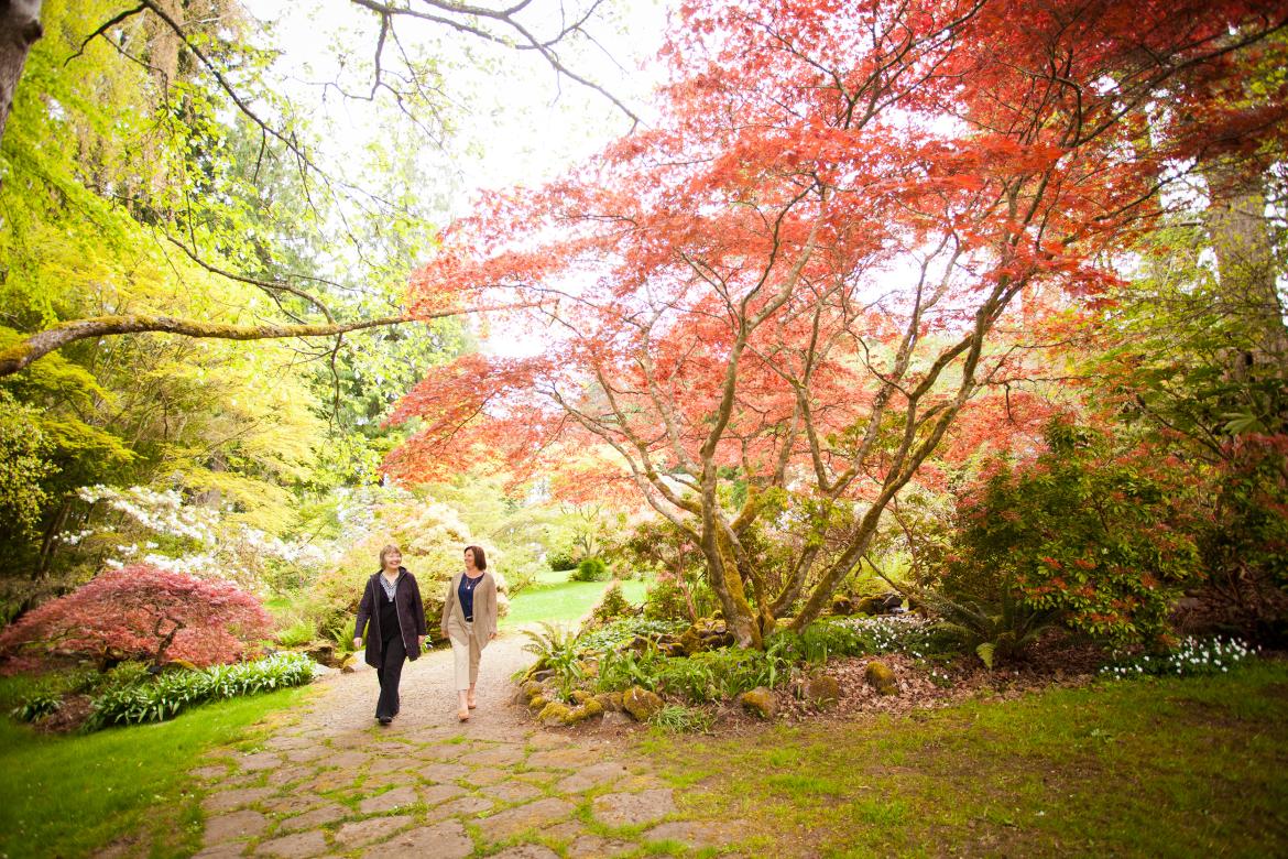 Health professionals prescribe access to VIU's Milner Gardens through ...