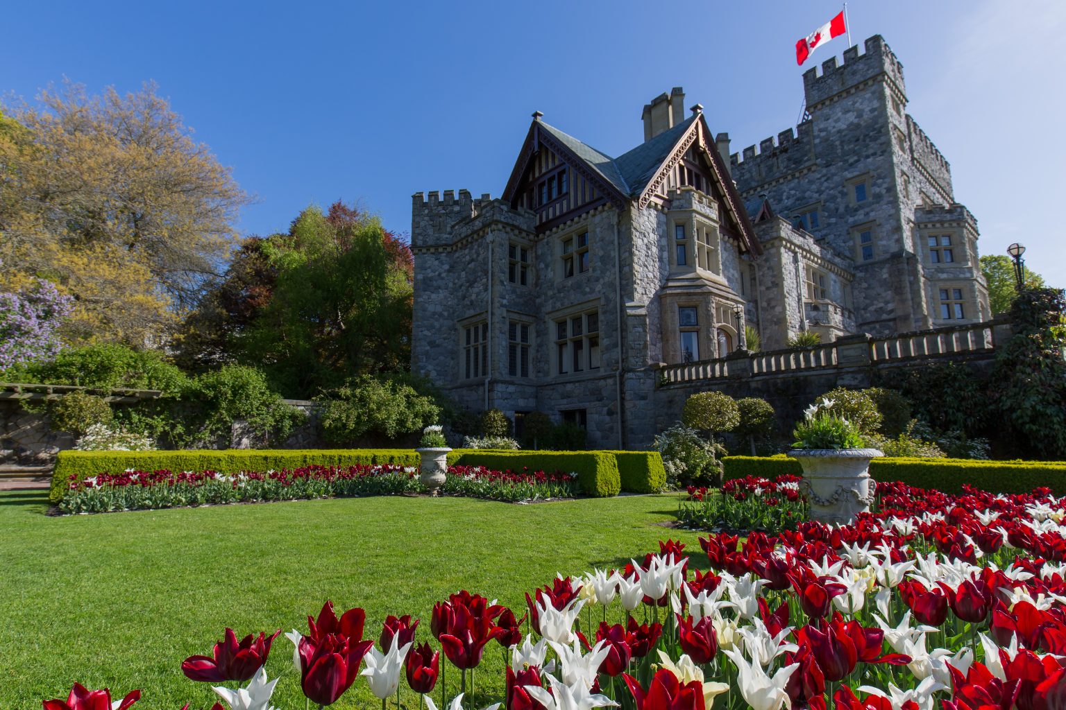 Plan Your Perfect Summer Adventure: Visit BC's Public Gardens - Gardens BC