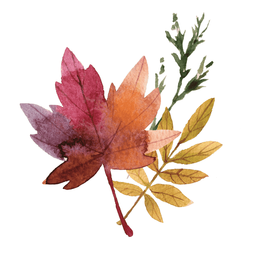 Gardens BC - Gardens BC