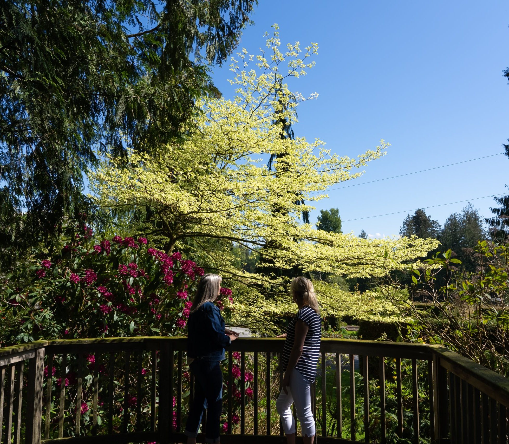 Gardens BC